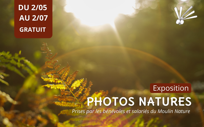 Exposition de photos natures prises par nos bénévoles et salariés - Le ...